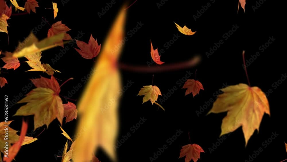 Autumn Maple Trees with Falling Leaves on Transparent Background ...