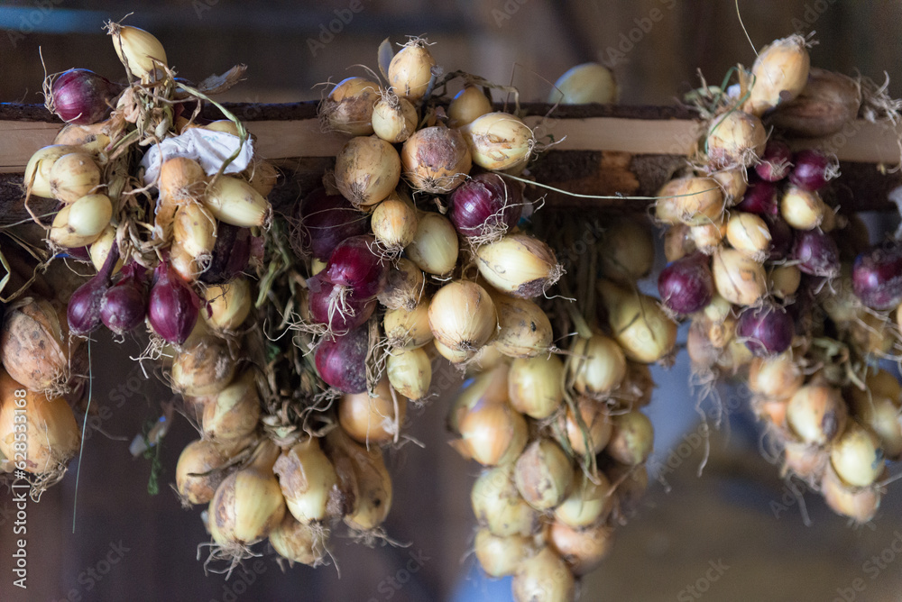 Hanging onion braids for storage on a farm. Bunches of onions hanging ...