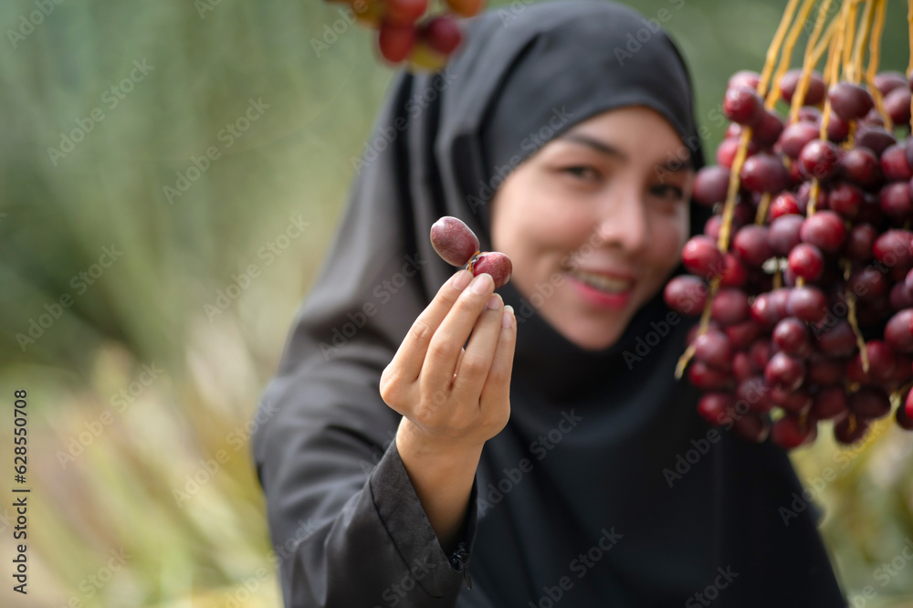 Close up, Muslim woman in black hijab with Date palm, Muslim woman is ...
