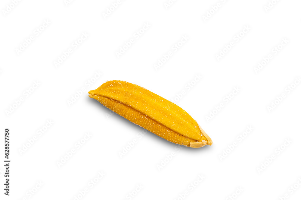 Top view of single paddy rice grain isolated on white background with ...