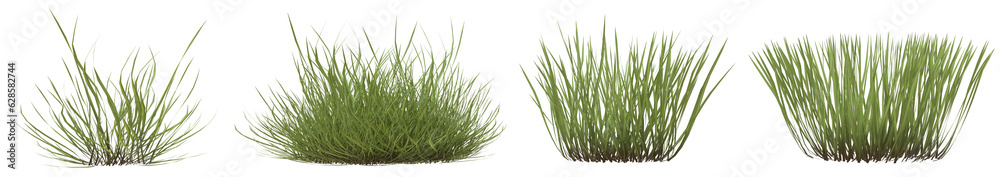 Poster Set of Green grass with isolated on transparent background ...