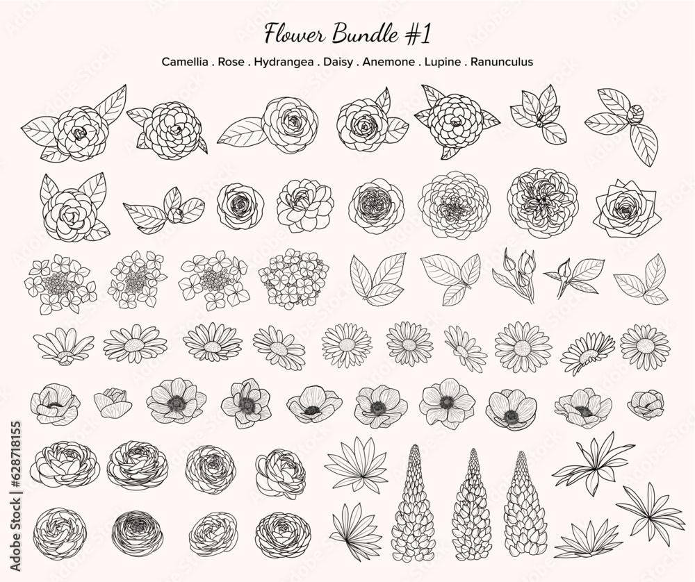Hand-drawn Flower Elements Set, Floral Fine Line Art, Blooms, Buds ...