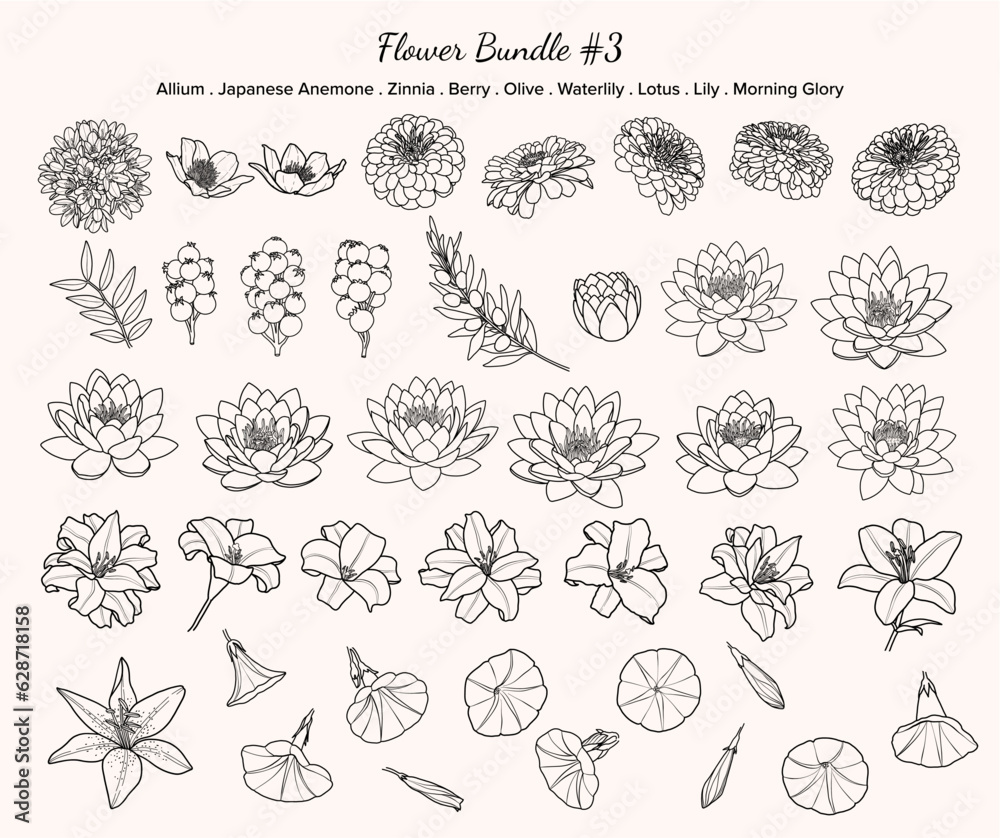 Fine Line Flower Elements Set, Minimal Floral Art, Blooms, Buds, Leaves ...