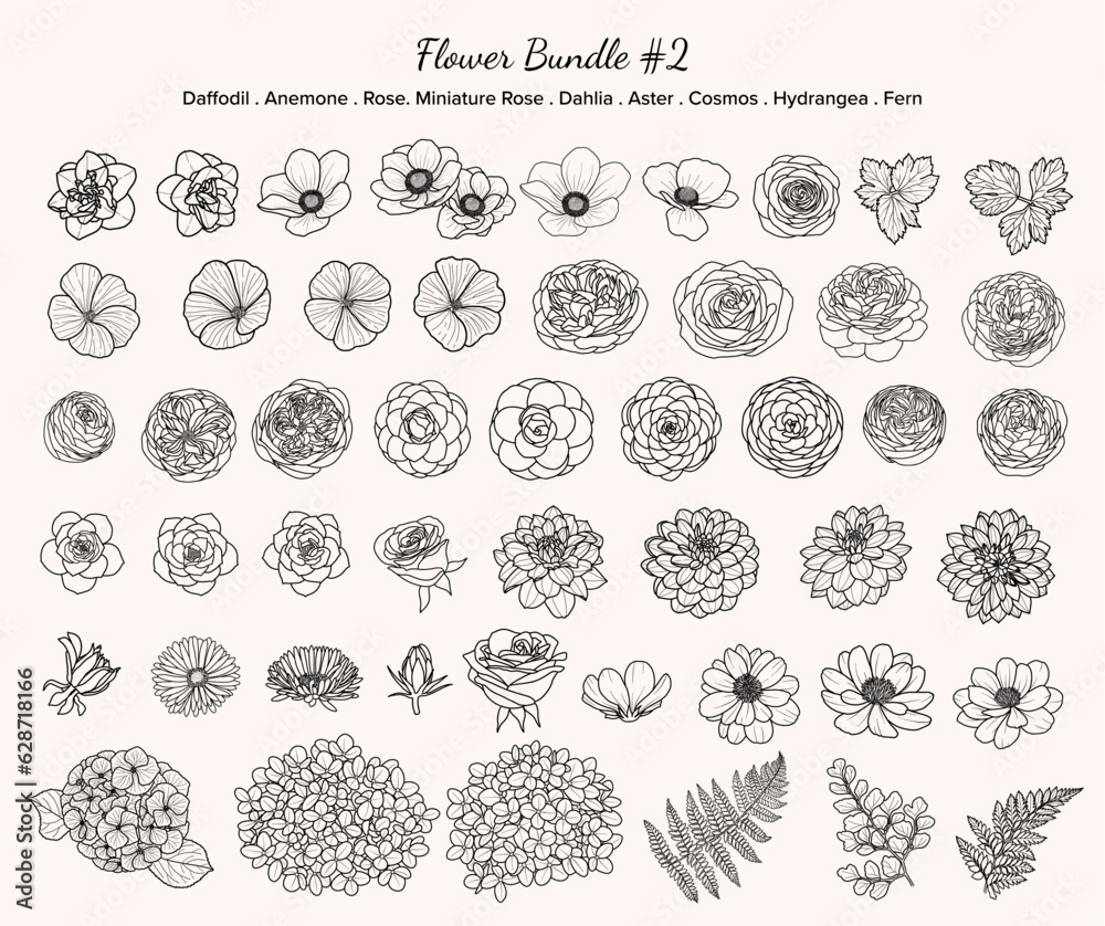 Hand-drawn Flower Elements Set, Floral Fine Line Art, Blooms, Buds, Leaves, Vector Roses, Dahlia ...