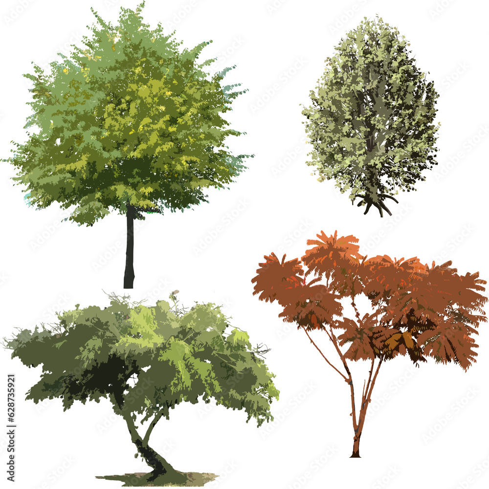 green tree isolated on white background, set of tree elevation ...