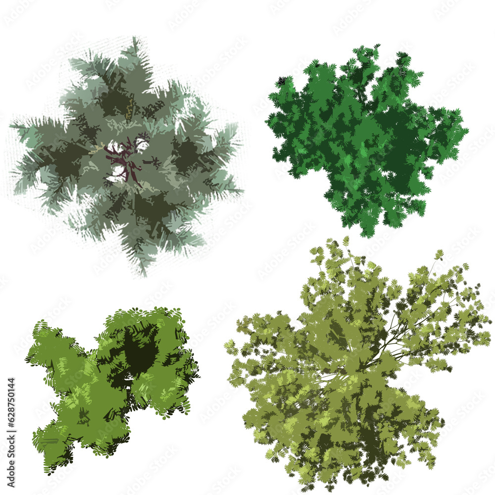 plan tree isolated on white background, set of tree plan photoshop for ...