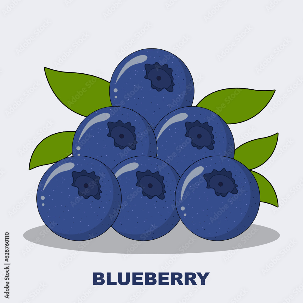 Fresh bright exotic blueberries vector illustration isolated on soft ...