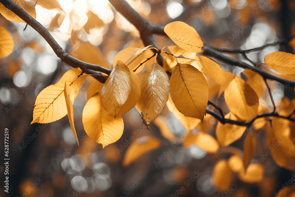 Moody autumn background - tree branch with brown autumn leaves in the ...