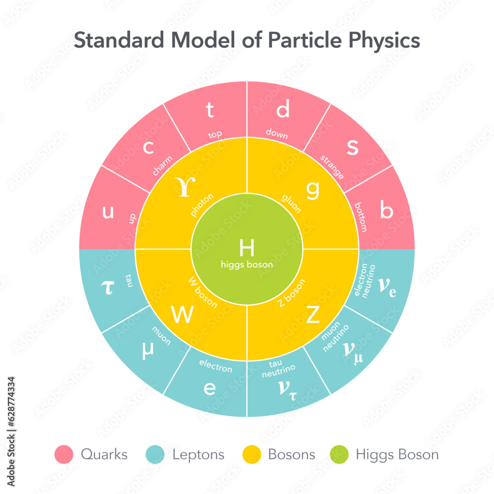 Standard Model of Particle Physics vector illustration chart Stock ...