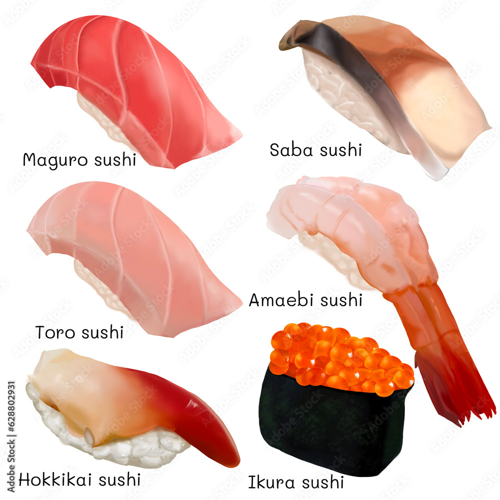 set of sushi with name included maguro sushi, toro sushi, saba sushi ...