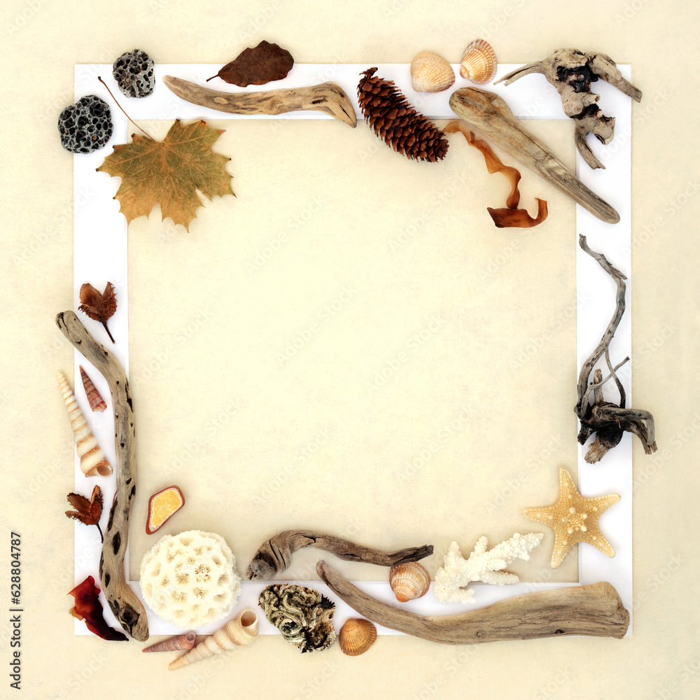 Nature study background frame of natural objects with driftwood ...
