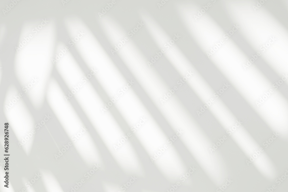 Gray shadow and light blur abstract background on white wall from ...