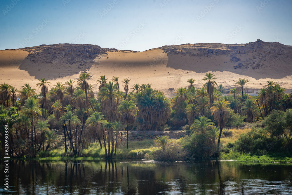 orillas de rio Nilo con en desierto a los lados Egipto Stock Photo ...