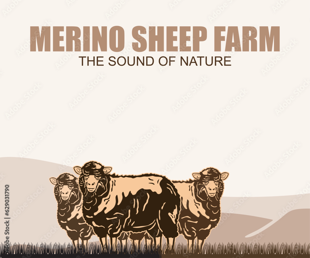 MERINO SHEEP FARM BANNER, great view of field farm in mountain vector ...