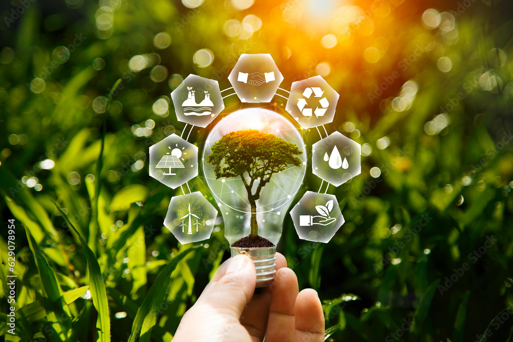 idea green energy concept. green tree in bulb on green background ...