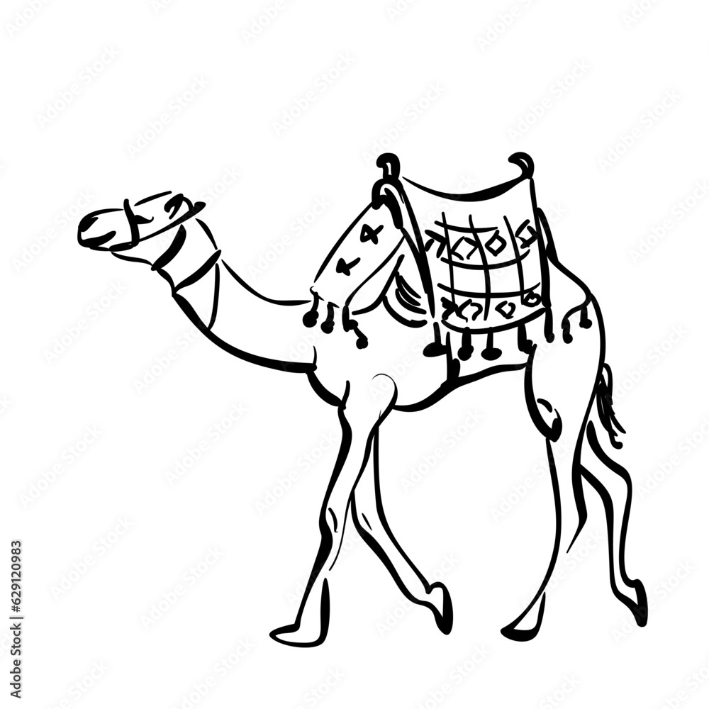 Sketch of walking camel with saddle, Desert animal hand drawn ...
