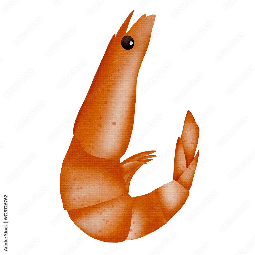 Cute Prawns and shrimp seafood illustration for meals and recipes Stock ...