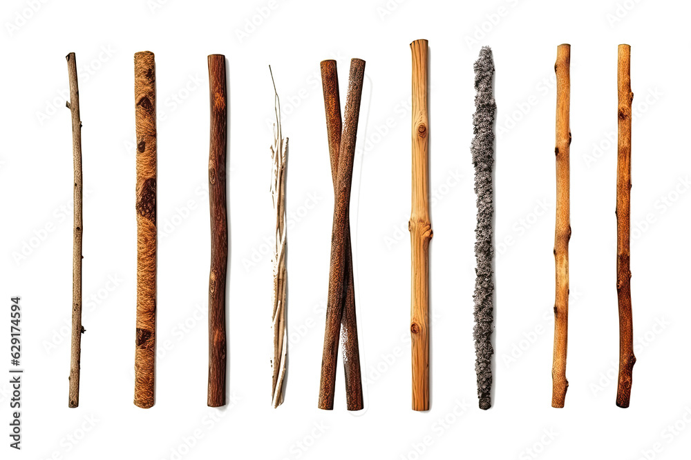 Different wood rod, stick types collection photorealistic isolated ...