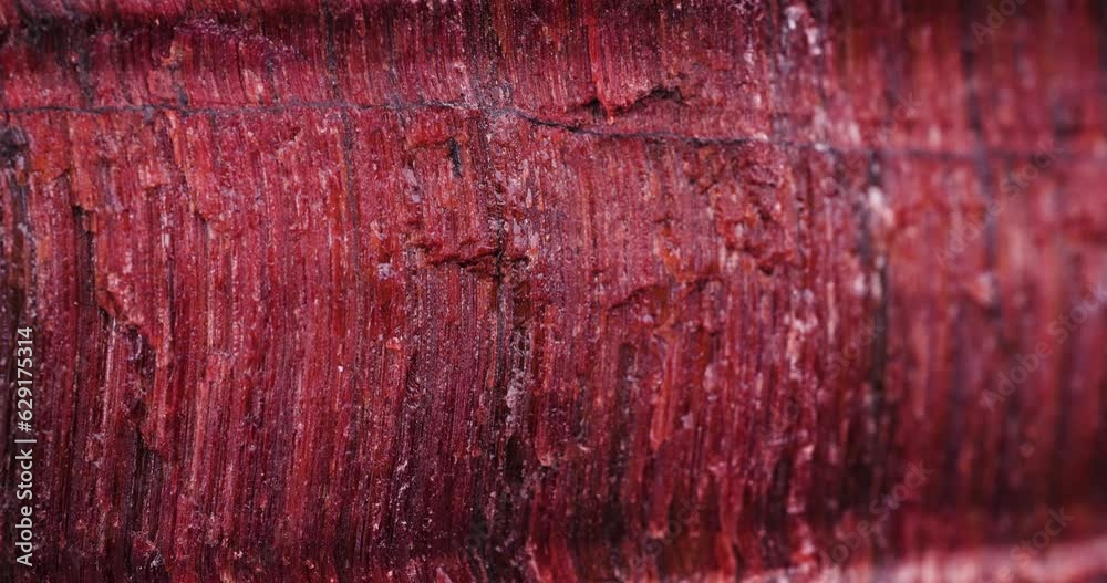 bull's eye (red tiger's eye) rotating in 4k. macro detail texture ...