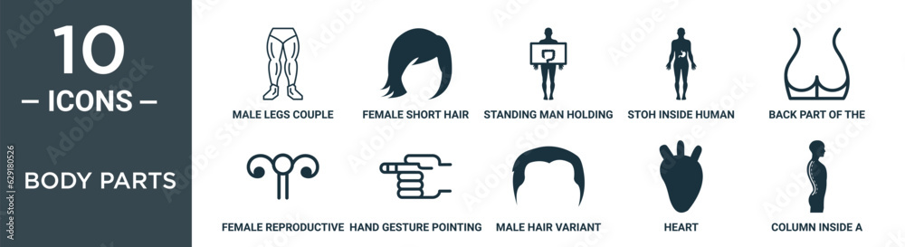 body parts outline icon set includes thin line male legs couple, female ...