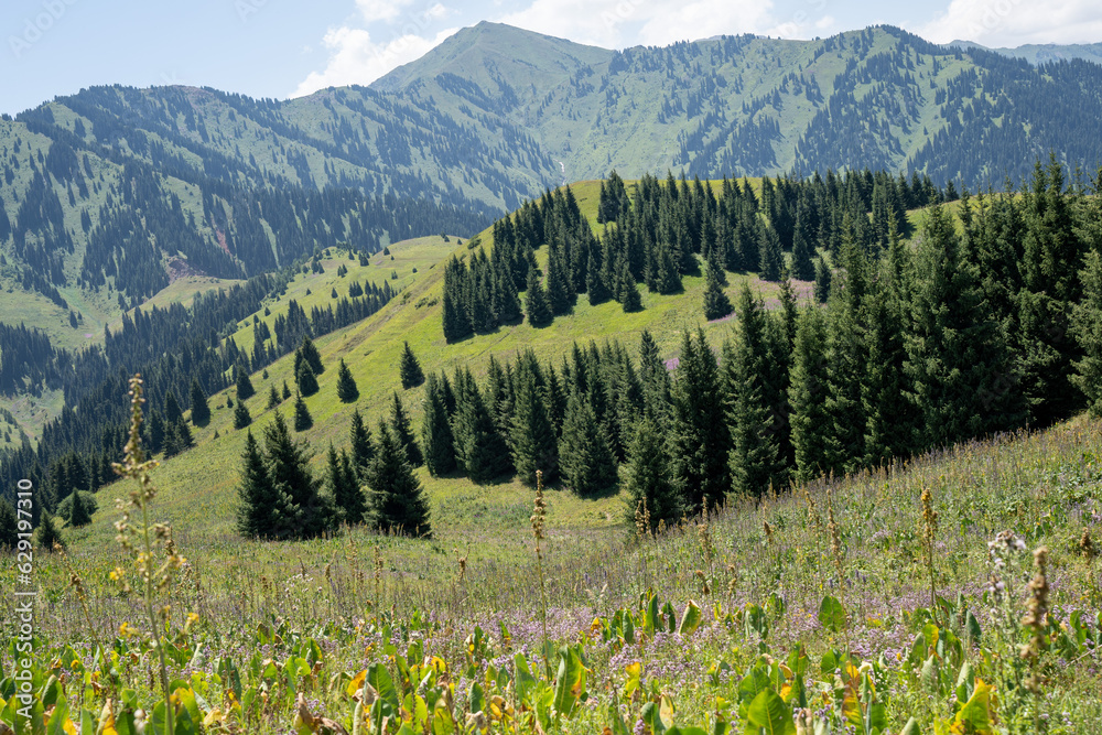 Mountain paths and views of the surroundings of the Almaty region ...