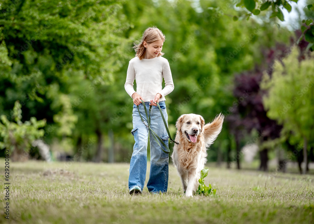 Preteen girl with golden retriever dog walking at nature. Cute child ...