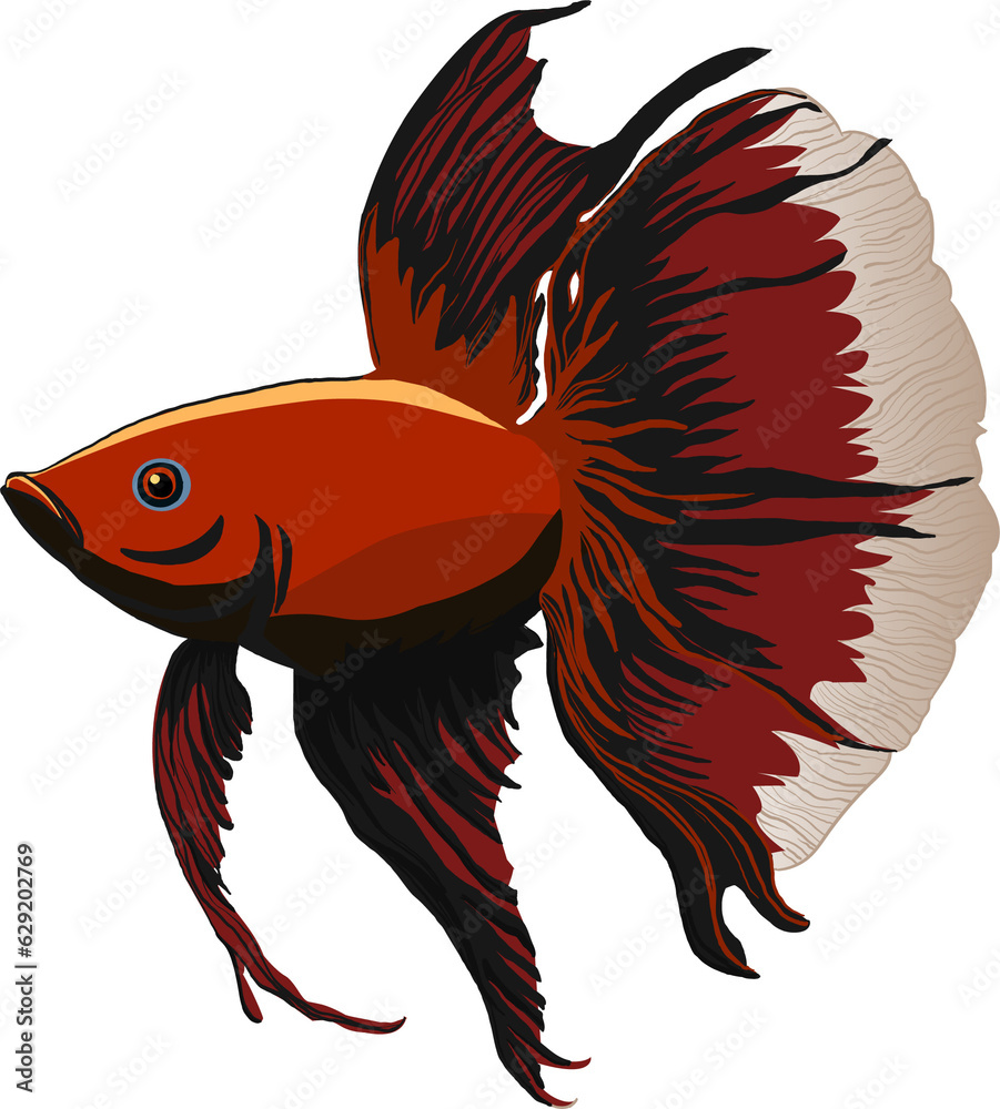 betta fish Siamese fighting fish Betta splendens Clipart PNG ...