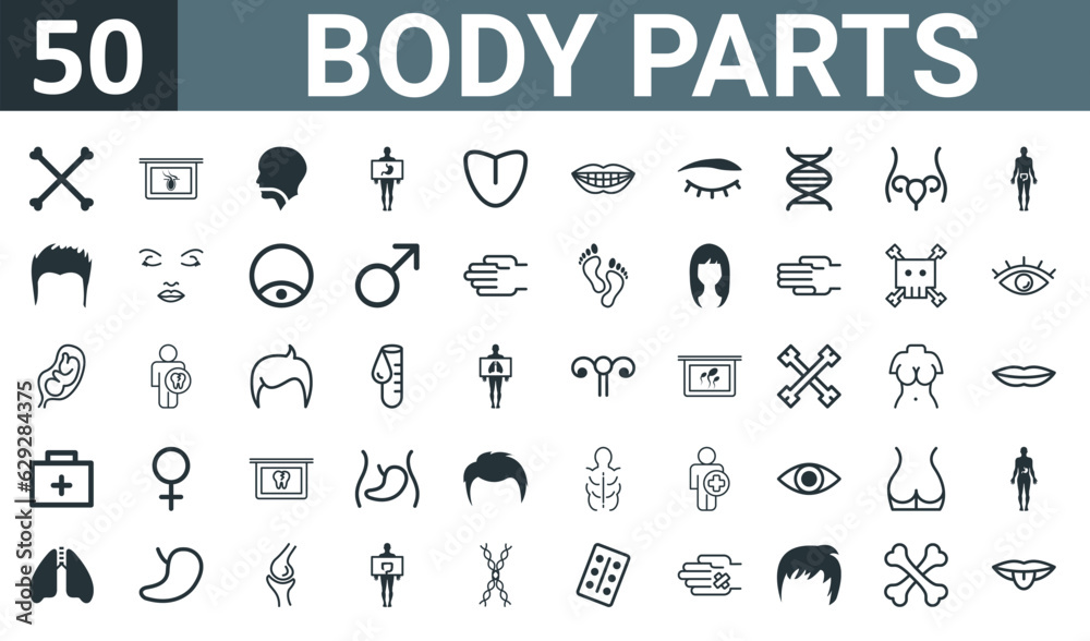 set of 50 outline web body parts icons such as bones, body part x ray ...