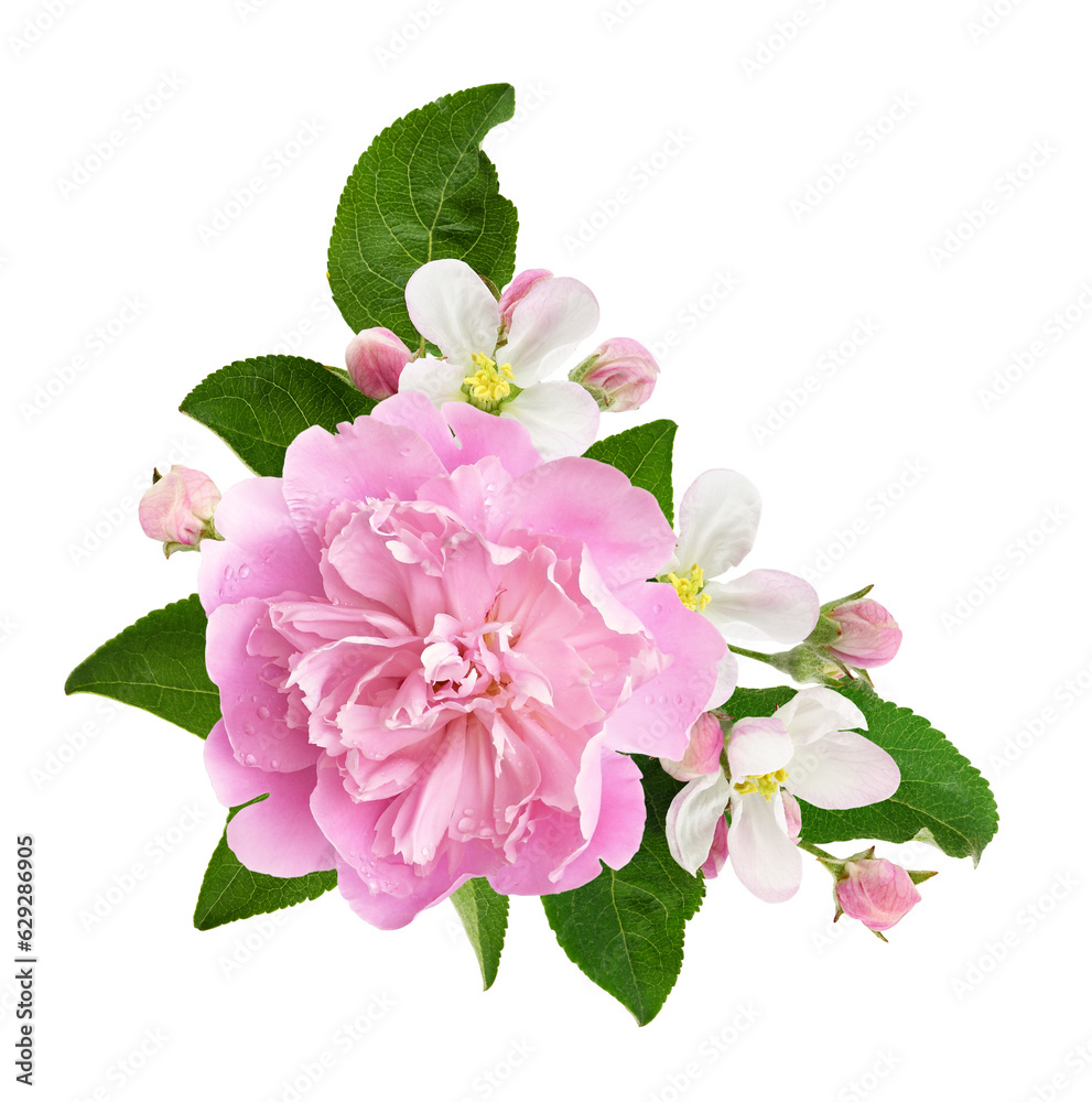 Pink peony and apple flowers and leaves in a corner floral arrangement ...