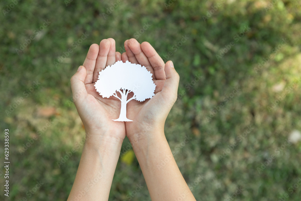 Little boy holding recycled paper tree to promote eco lifestyle on ...