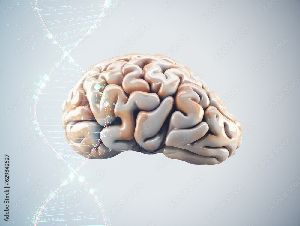 Bioengineering and science concept with human brain and DNA symbols on ...