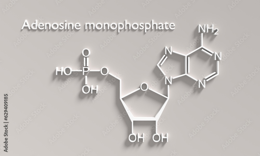 Adenosine monophosphate or AMP, adenylic acid molecule. Nucleotide ...