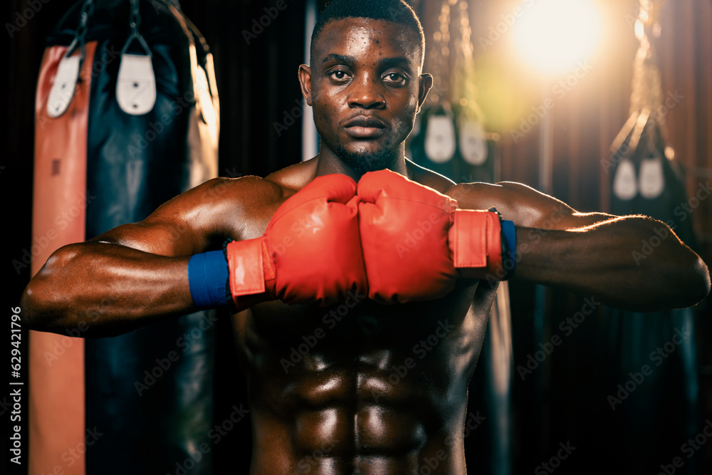 Boxing fighter posing, African American Black boxer put his hand or ...