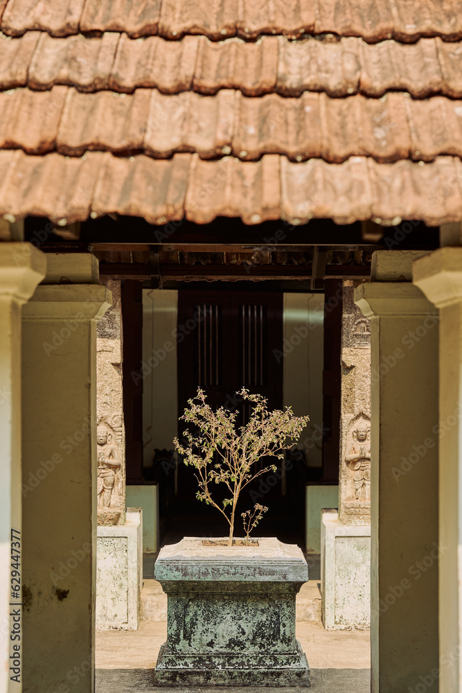 Traditional Kerala architecture with Holy basil on a platform in front ...