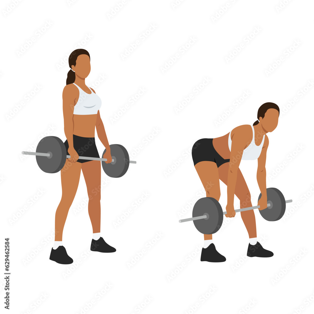 Woman doing Barbell romanian deadlifts exercise. Flat vector ...