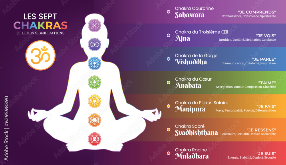Les Sept Chakras et leurs significations Stock Vector | Adobe Stock