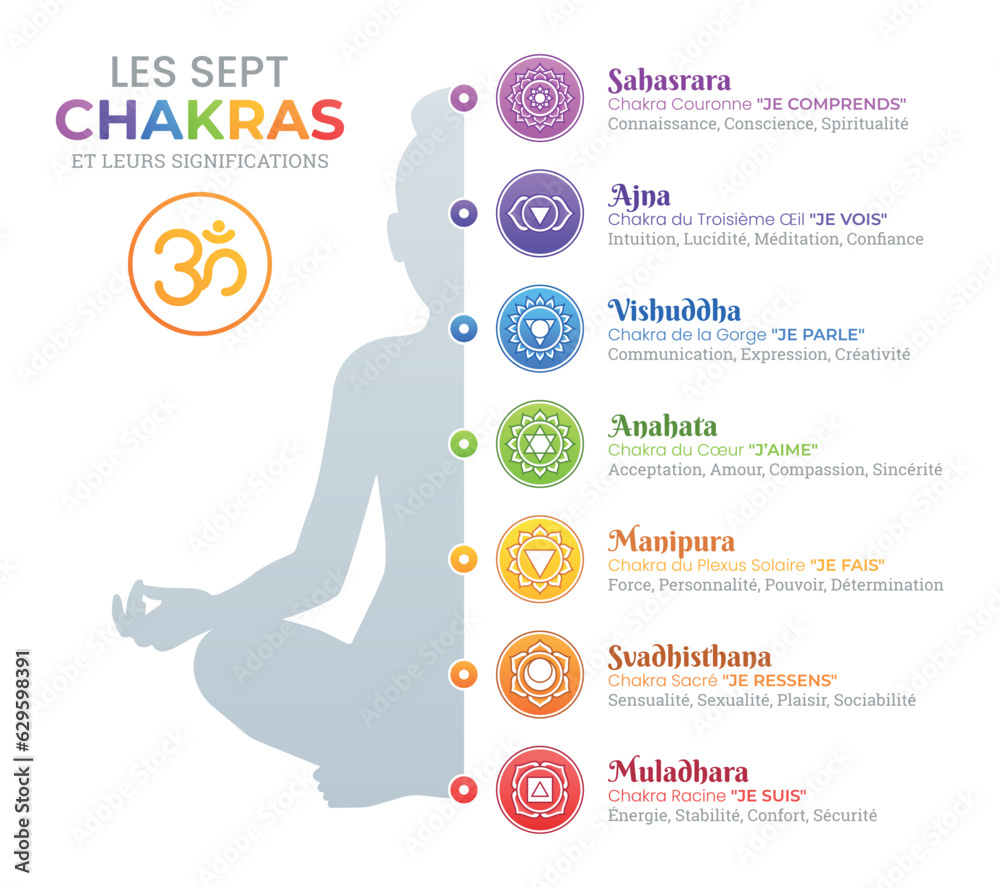Les Sept Chakras et leurs significations Stock Vector | Adobe Stock