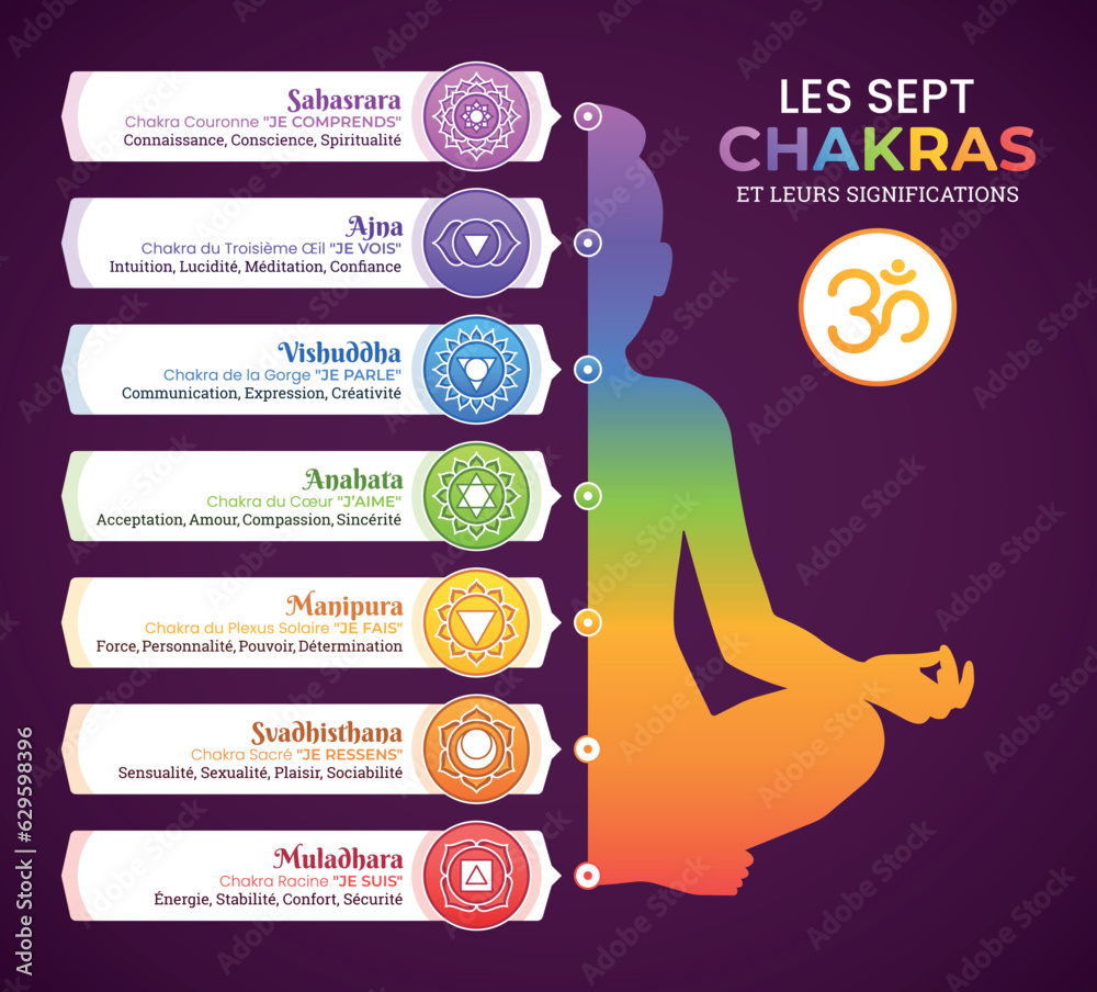 Les Sept Chakras et leurs significations Stock Vector | Adobe Stock