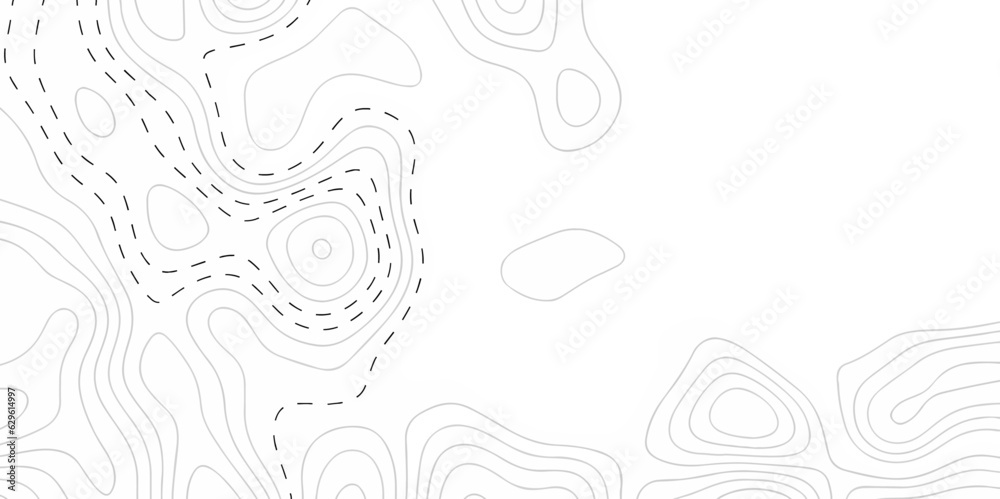 Background of the topographic map. Topographic map lines, contour ...