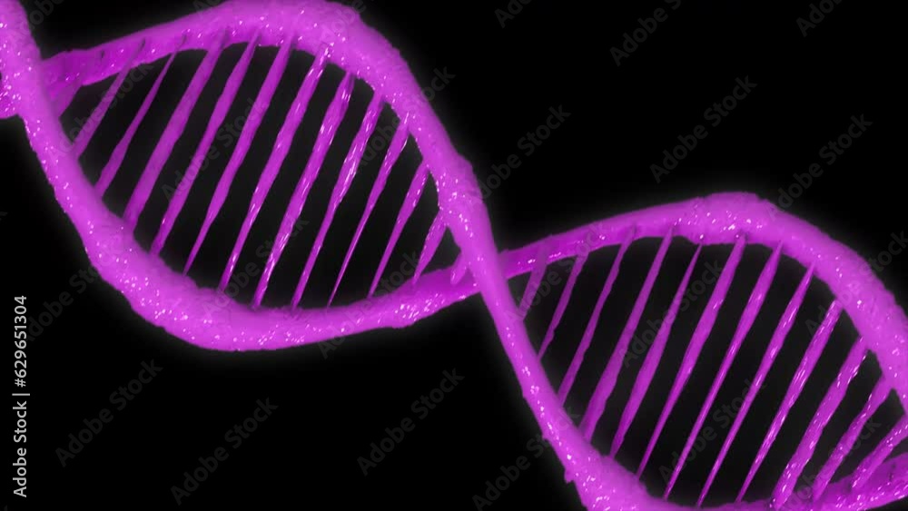 DNA Strands on spiral. Double helix human DNA structure. DNA Strand ...