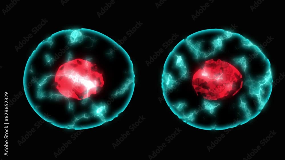 Vidéo Stock Process division of cell. mitosis stages from Interphase ...