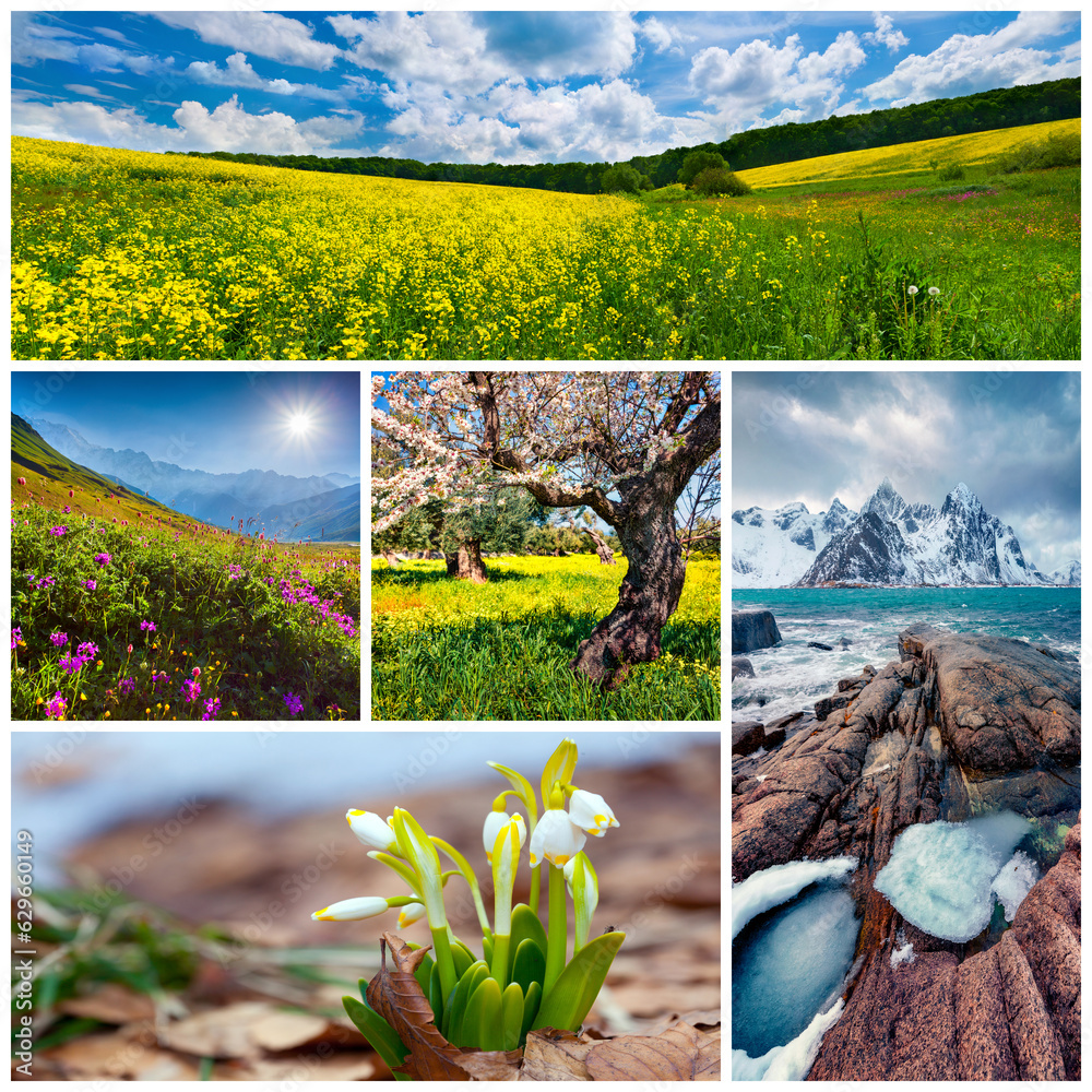 Spring collage. Set of beautiful spring landscapes arranged in a square ...