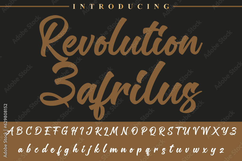 Hand drawn vector alphabet. Script font. Isolated letters written with ...