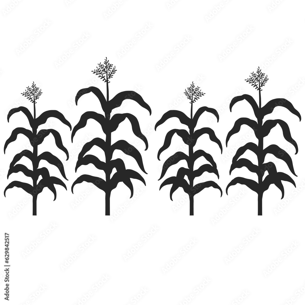 Corn stalk icon vector. Corn illustration sign. plant symbol. weeds ...
