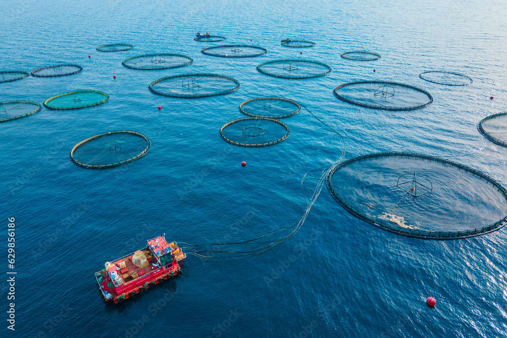 Aquaculture cages fish farm in sea, seafood industry. aerial view Stock ...