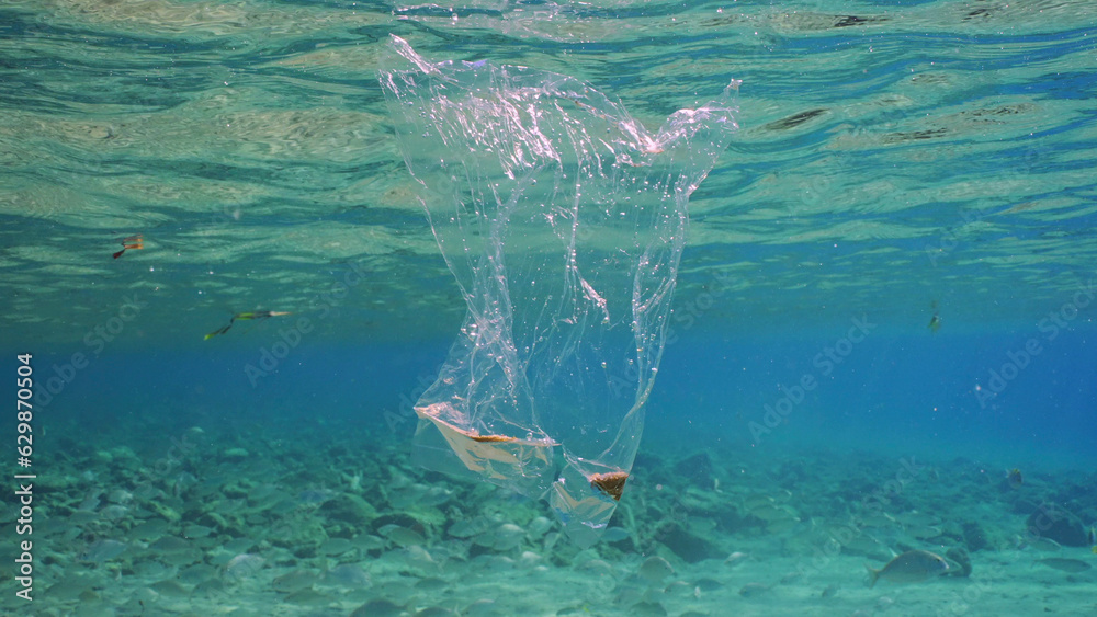 Plastic bag floating underwater. Transparent plastic bag drifts under ...