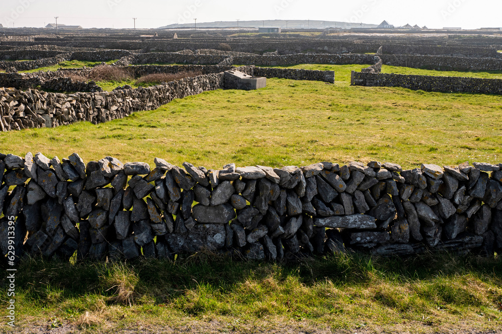 Huge maze of traditional stone fences, trademark landscape of Aran ...