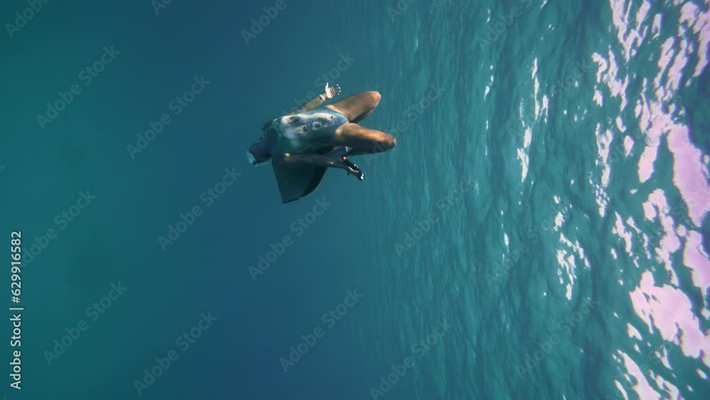Beautiful young woman swimming underwater with dolphins in pristine ...