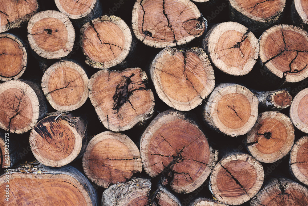 Cut wood logs, stacked on top of each other. Stock Photo | Adobe Stock