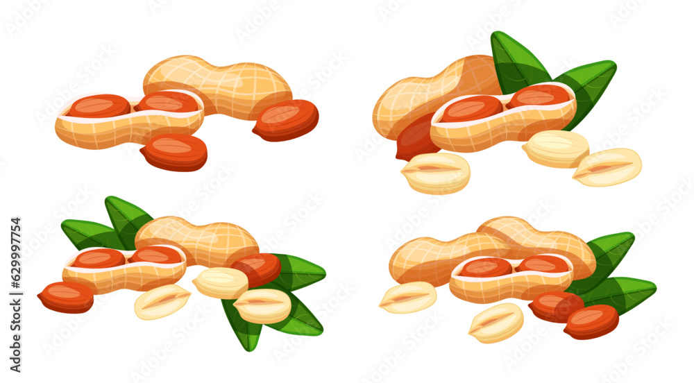 Set of delicious and beautiful peanuts isolated on white background ...